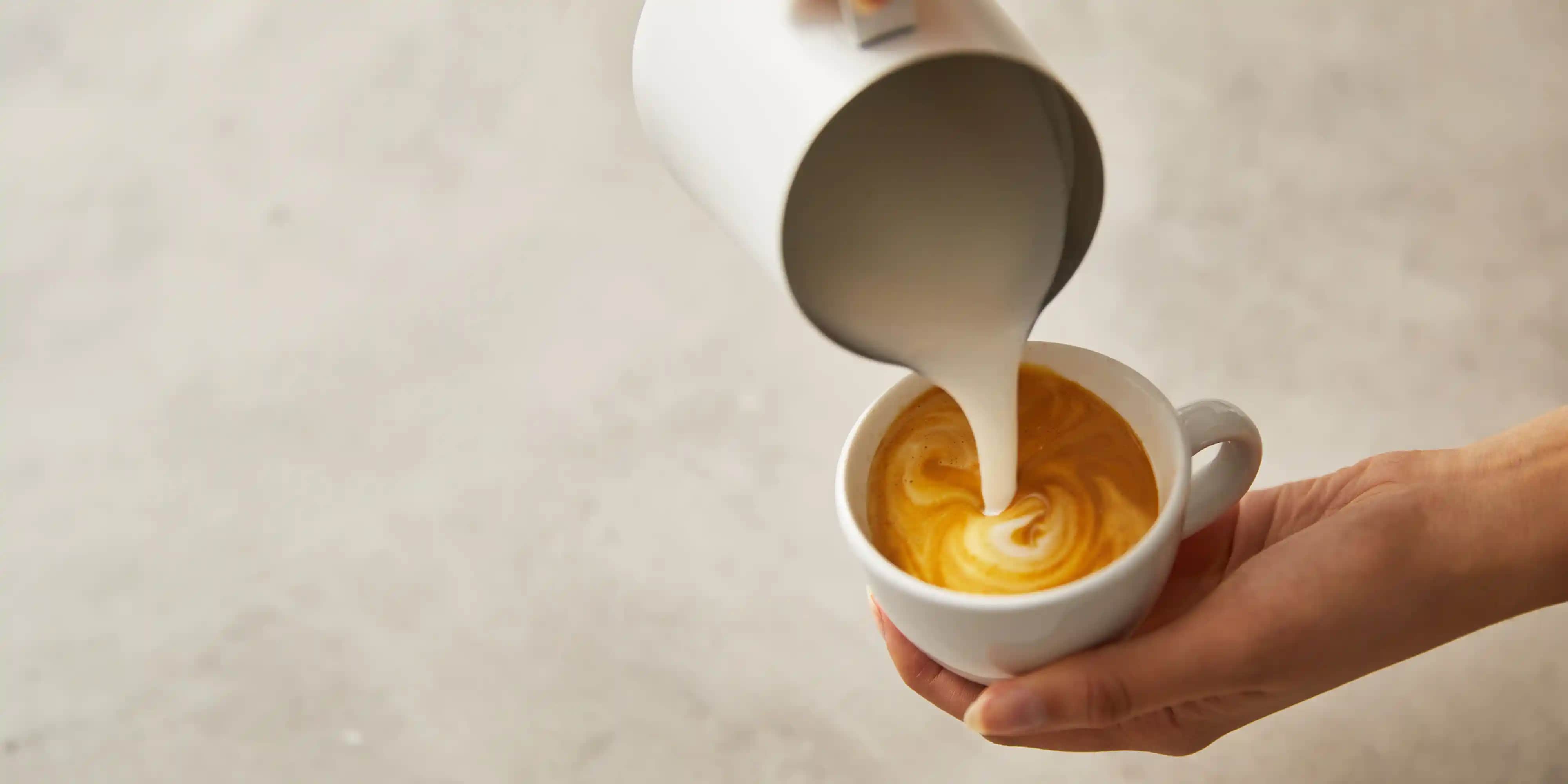 Find Your Perfect Coffee Match | Sur La Table